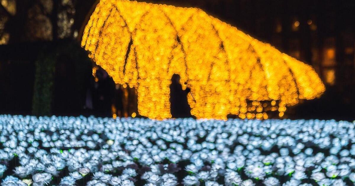 The Ever After Garden at Grosvenor Square 2024 | Mount Street ...