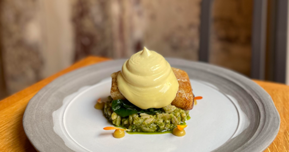 Apricity’s £39 2-course weekday menu | Mount Street Neighbourhood, London